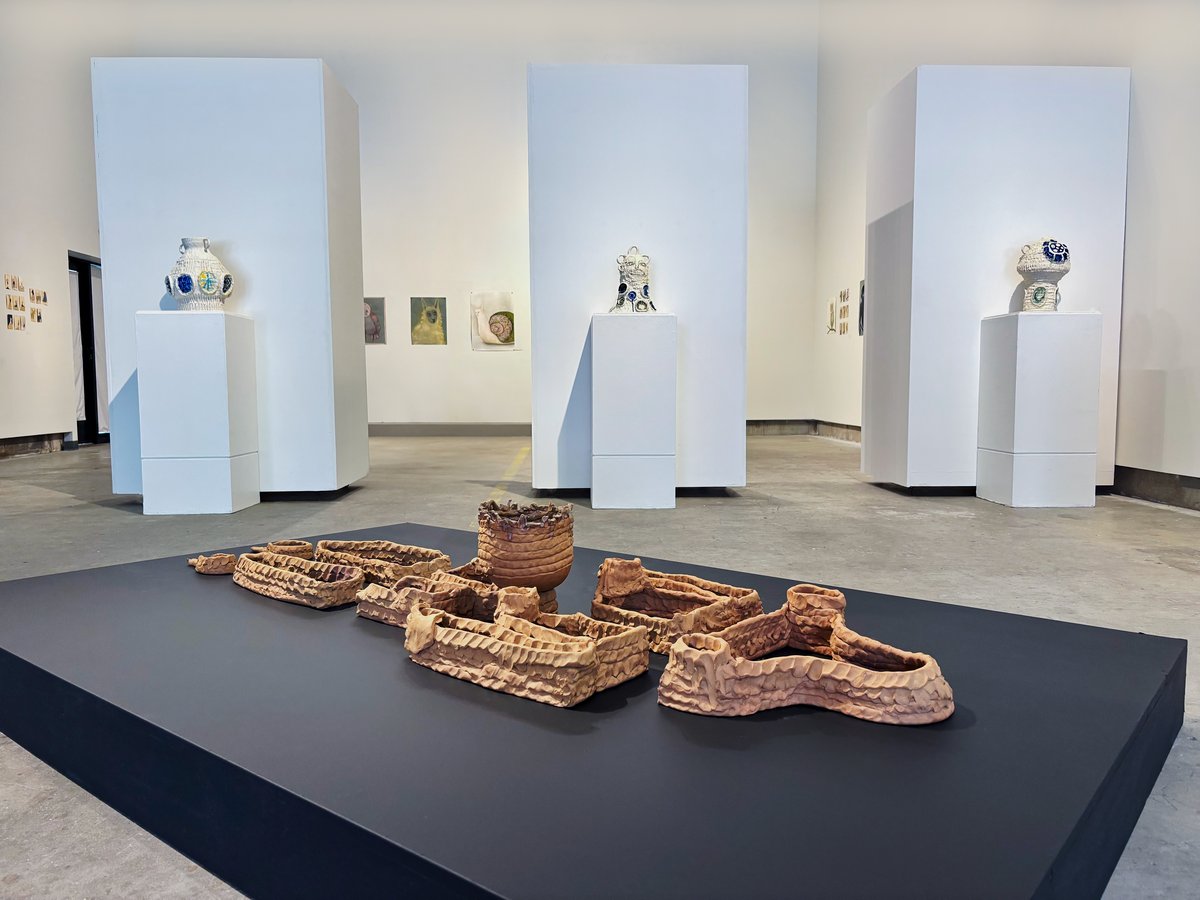 NHCF Artist Advancement Grant Exhibit | 3S Artspace